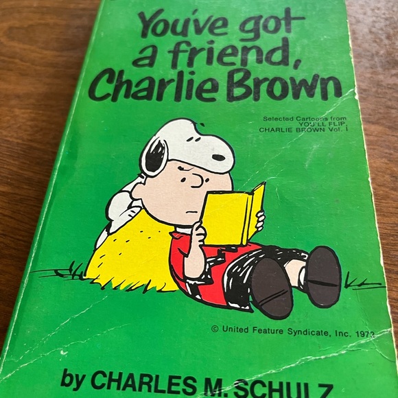 Charlie Schulz | Other | Charlie Brown Paper Back | Poshmark